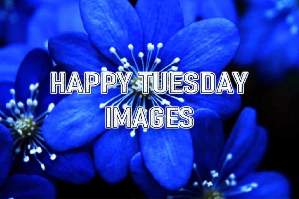 Days of The Week Images | SuperbWishes