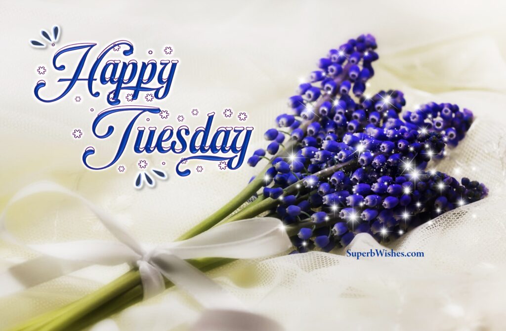 Happy Tuesday Images | Page 2 of 3 | SuperbWishes.com