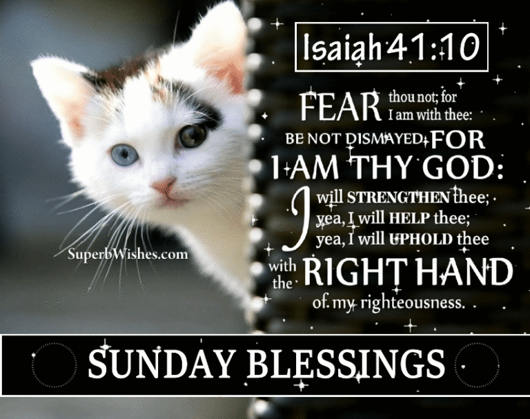 Sunday Blessings Bible Verses GIFs | SuperbWishes